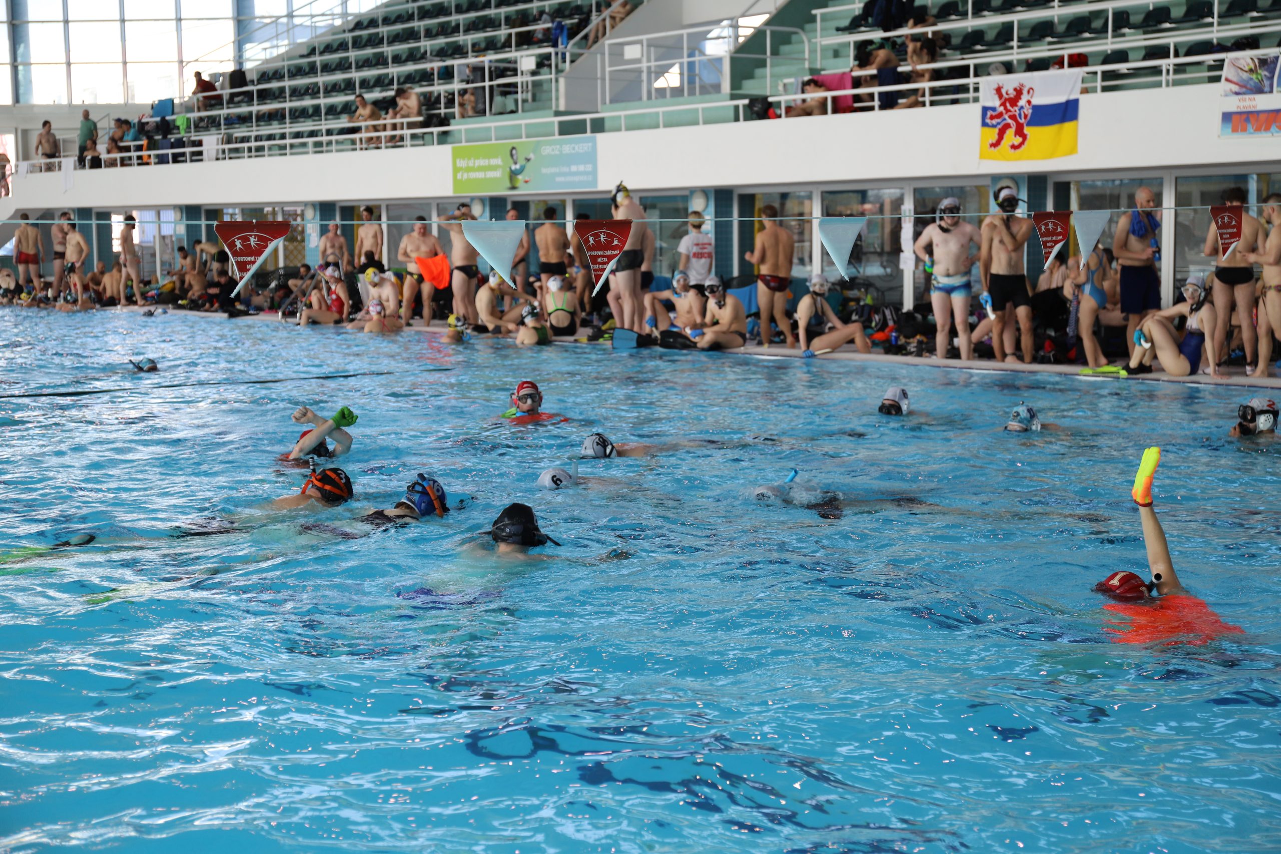 BUD PIG CUP - www.uwh.cz